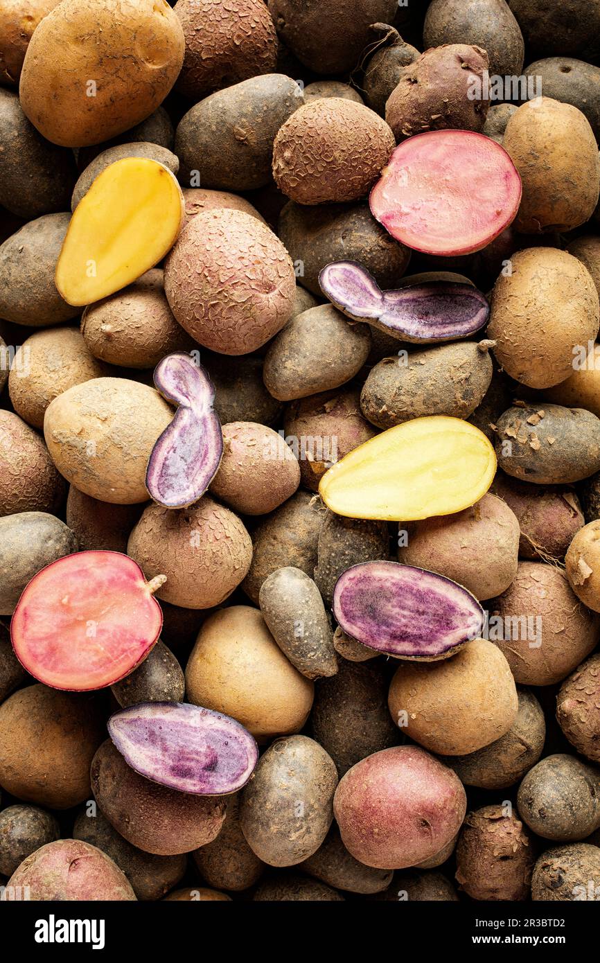 Various types variety many kinds varieties hi-res stock photography and ...