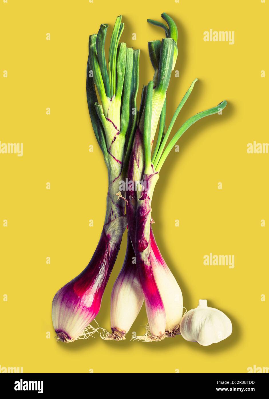 Organic Purple Scallions Stock Photo - Alamy
