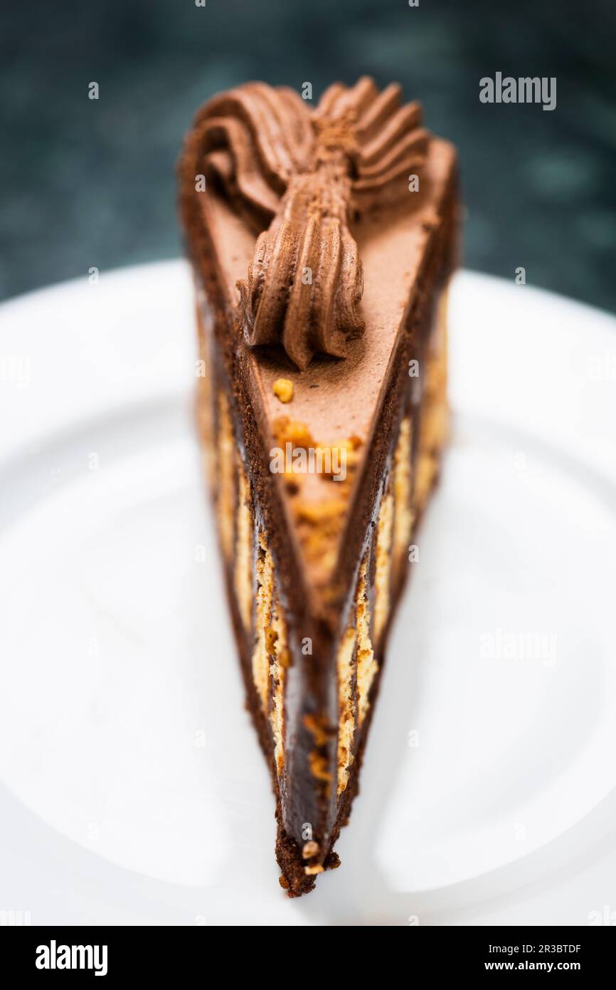 Sluka hi-res stock photography and images - Alamy