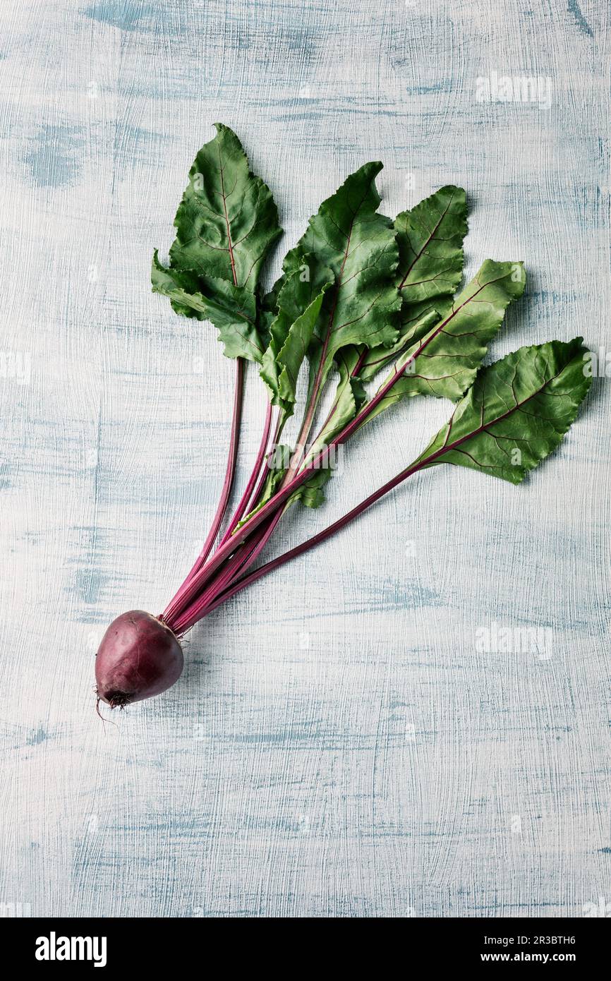 Beetroot above cut out hi-res stock photography and images - Alamy