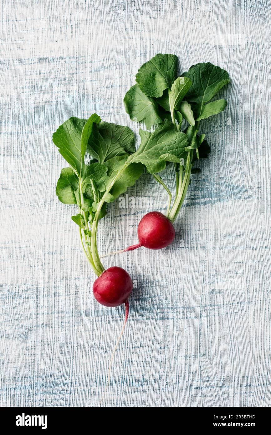Fresh radishes with leaves Stock Photo - Alamy