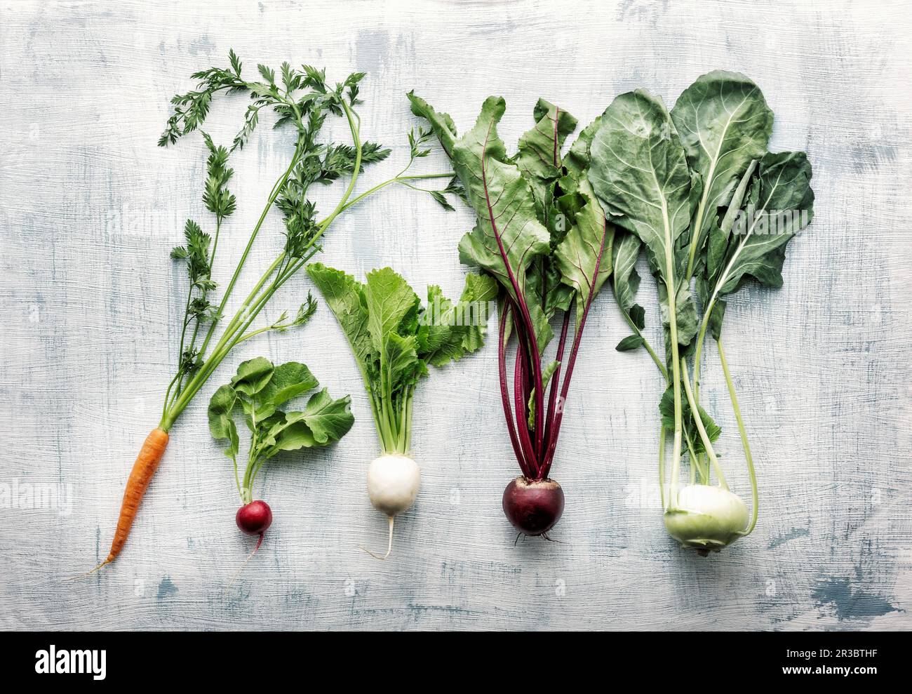 Fresh root vegetables with leaves (carrots, radishes, turnips, beetroot ...