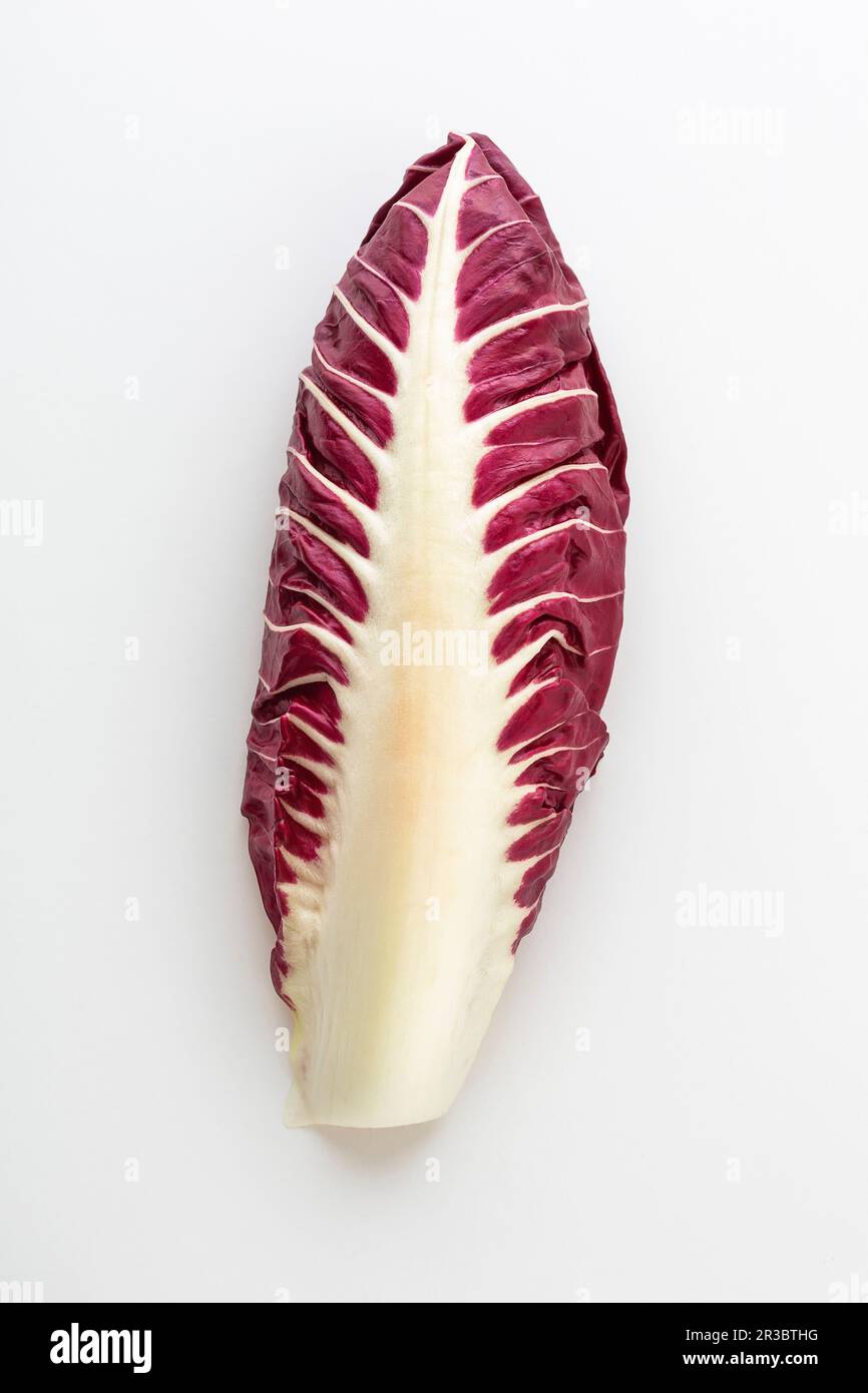 Fresh radicchio hi-res stock photography and images - Alamy