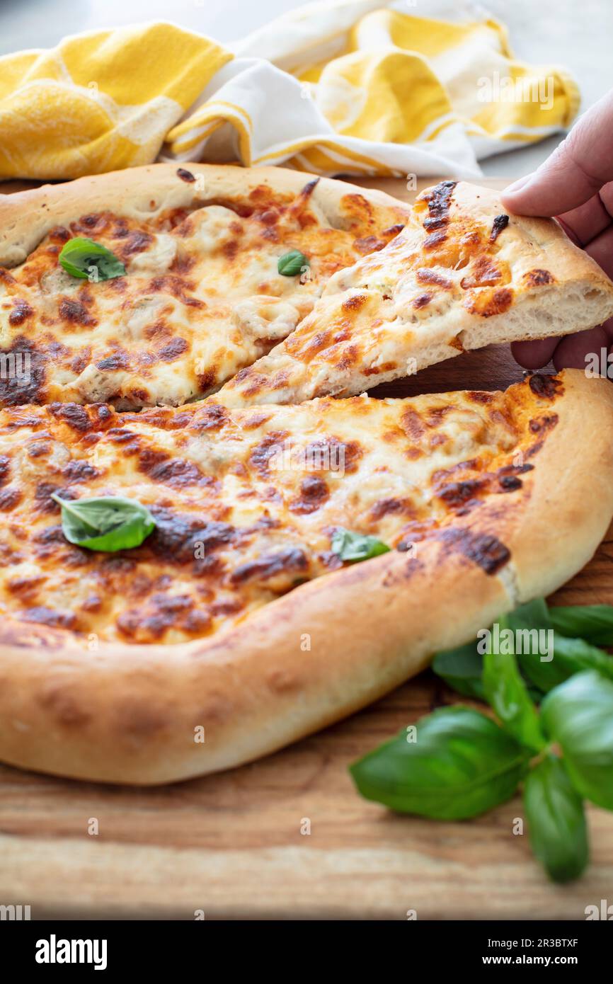 Bazil hi-res stock photography and images - Alamy