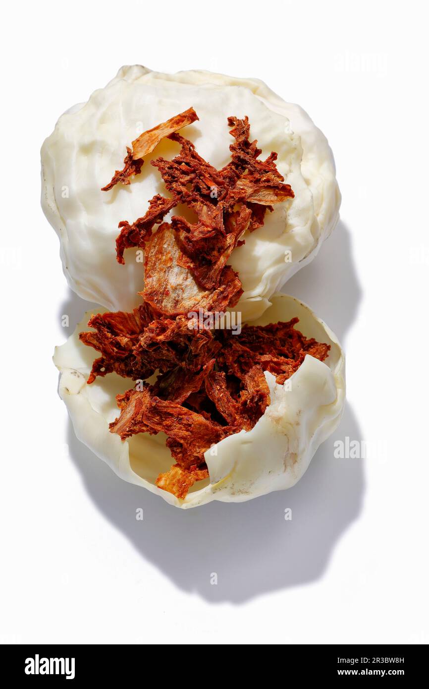 Kimchi pickled Cut Out Stock Images & Pictures - Alamy