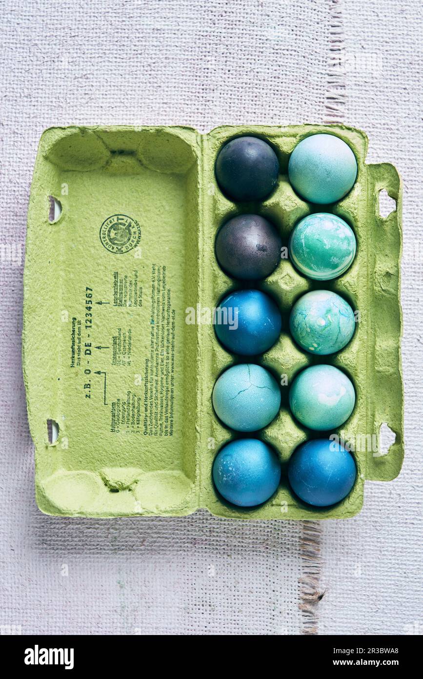 Colorful dyed Easter eggs in shades of blue in an egg carton Stock ...