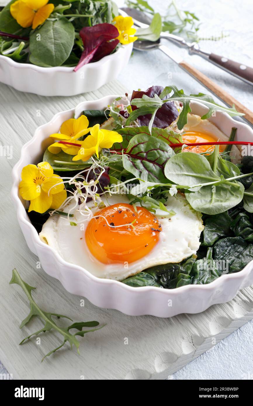 Stewed spinach with fried egg rocket and sprouts Stock Photo - Alamy