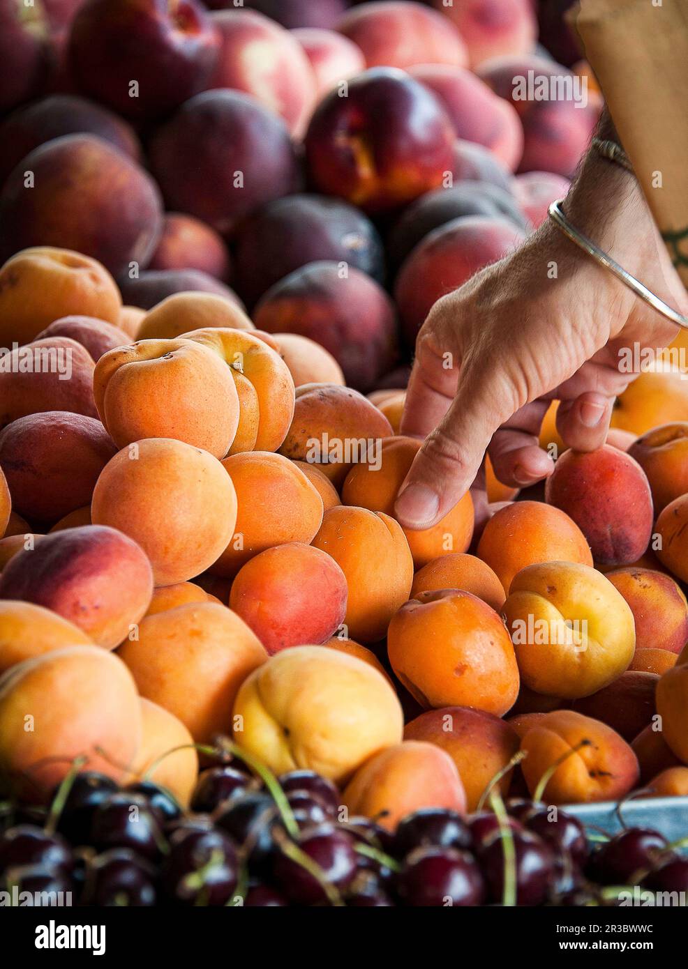 Bought human hi-res stock photography and images - Alamy