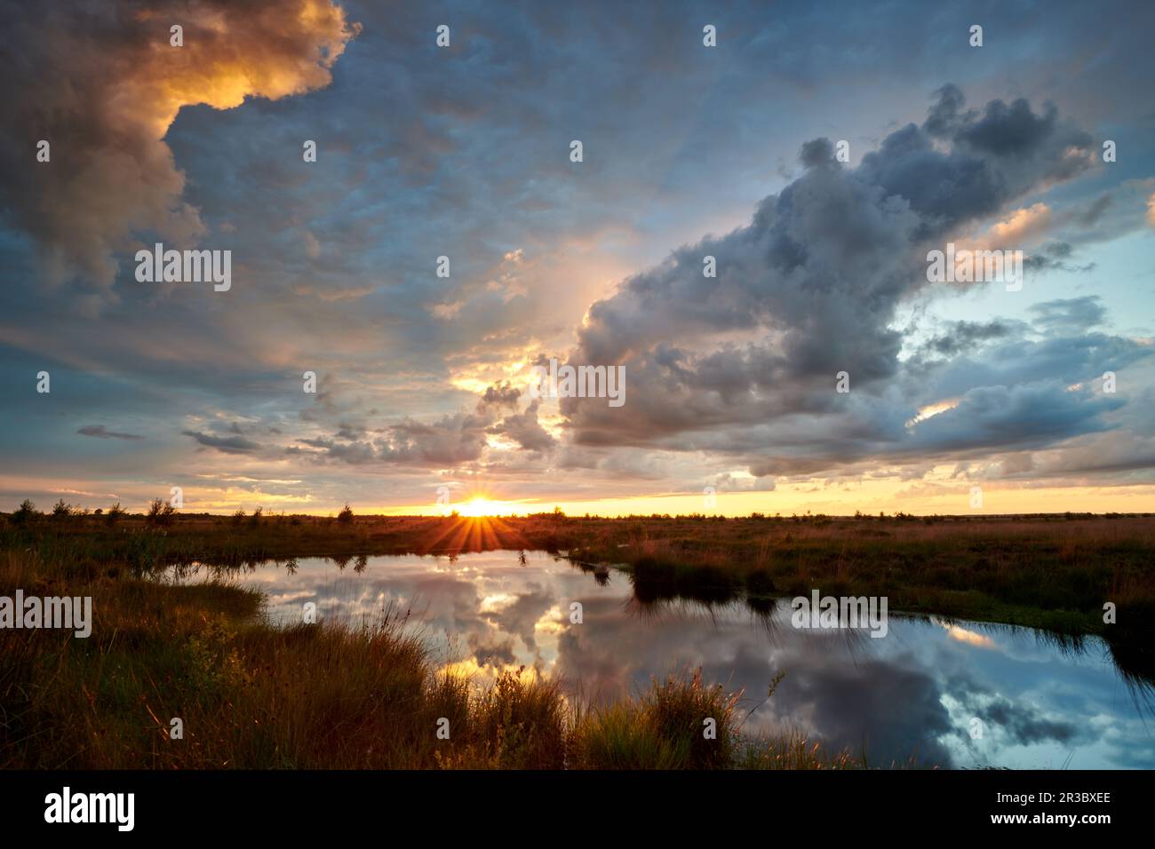 Peat marsh hi-res stock photography and images - Alamy