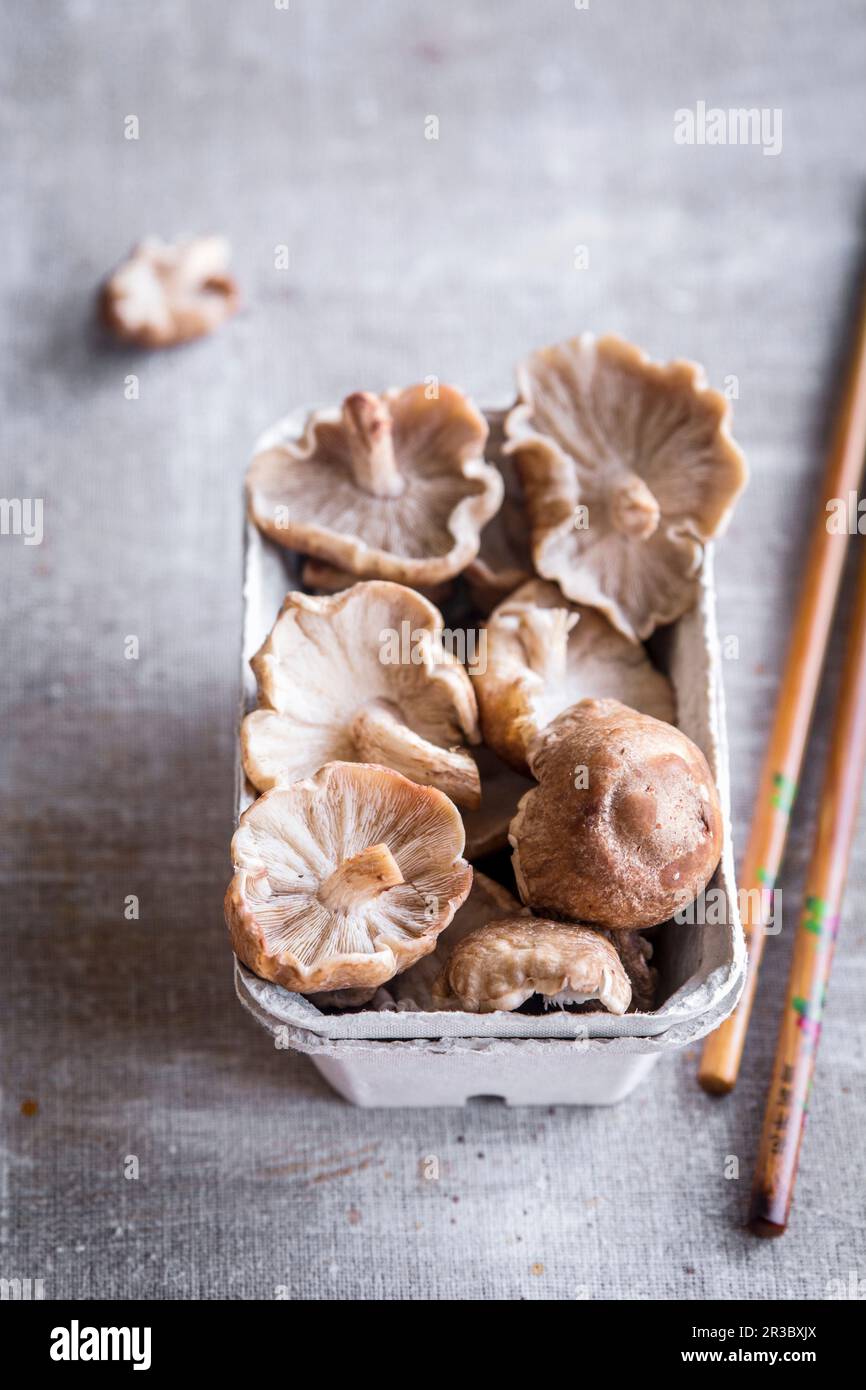 Punnet of mushrooms hi-res stock photography and images - Alamy