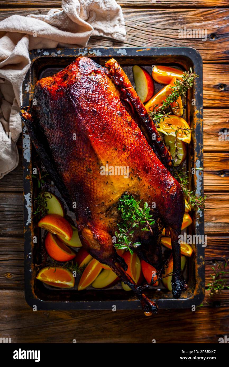 Martins goose hi-res stock photography and images - Alamy