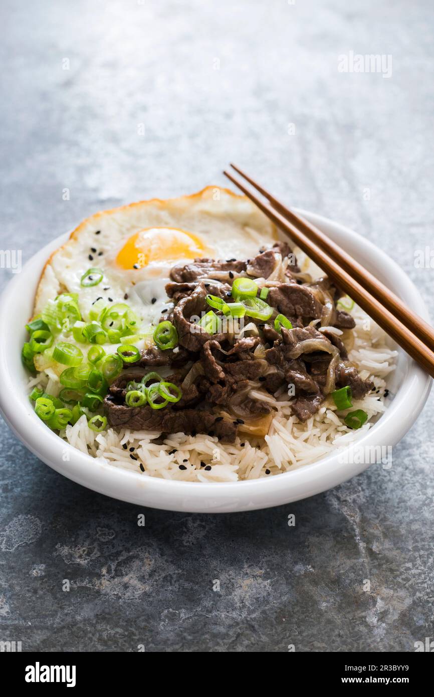 Gyudon bowl hi-res stock photography and images - Alamy