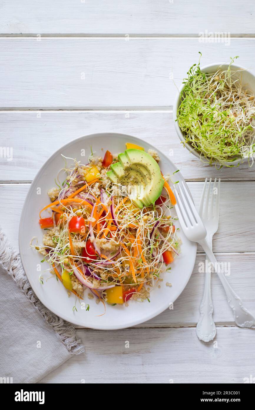 Lentil sprout rainbow salad Stock Photo - Alamy