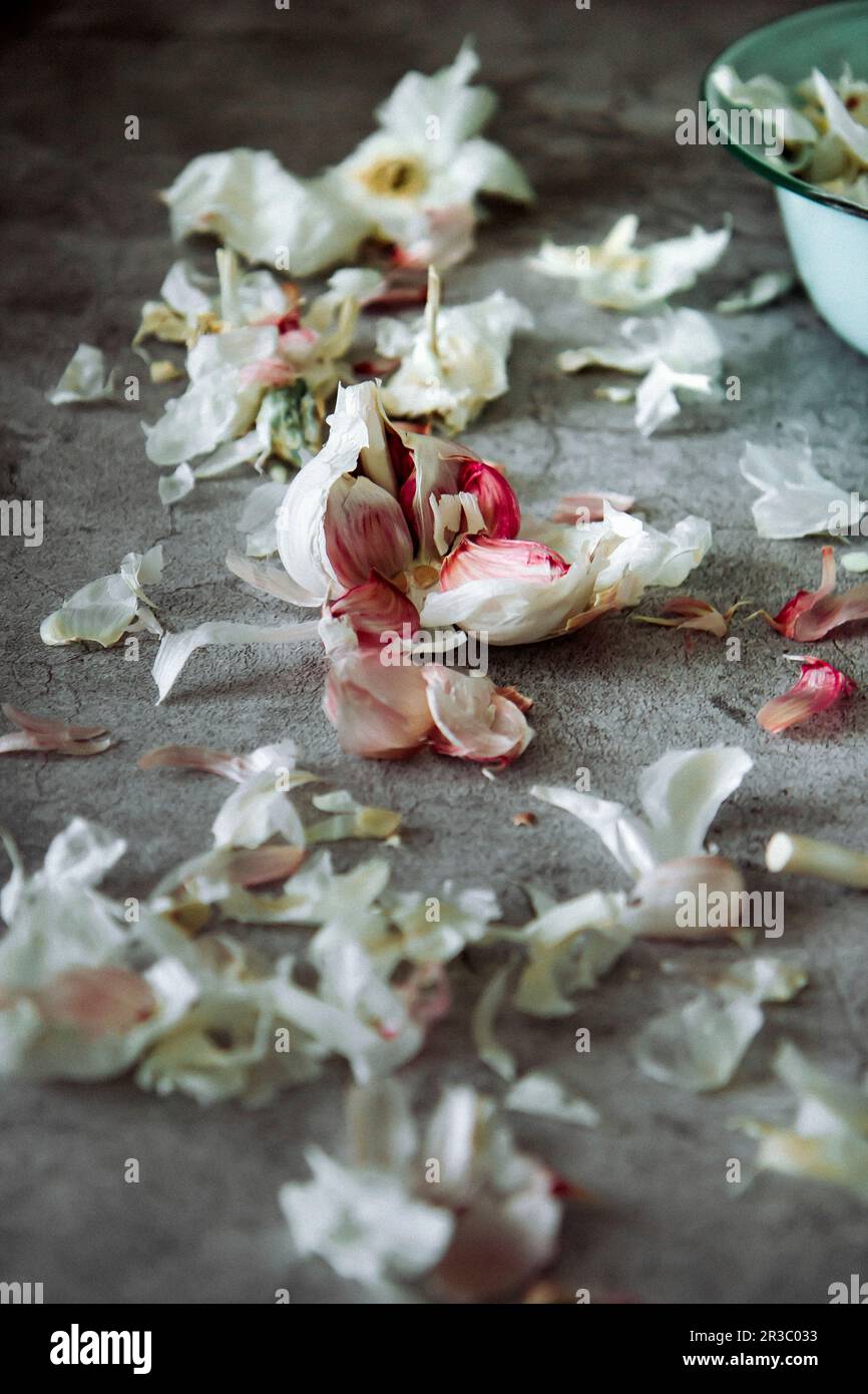 Split garlic bulb Stock Photo - Alamy