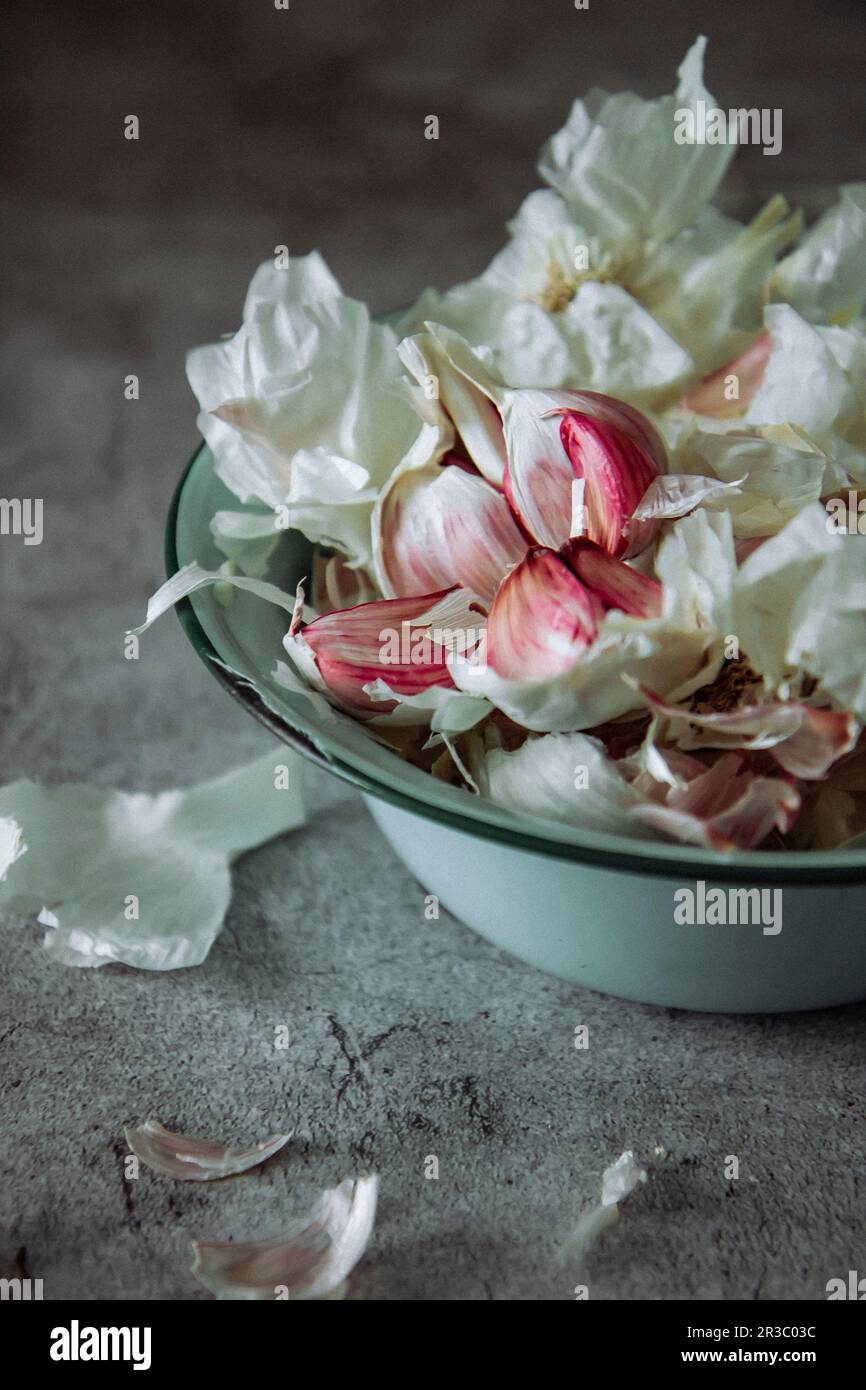 Split bulb hi-res stock photography and images - Alamy