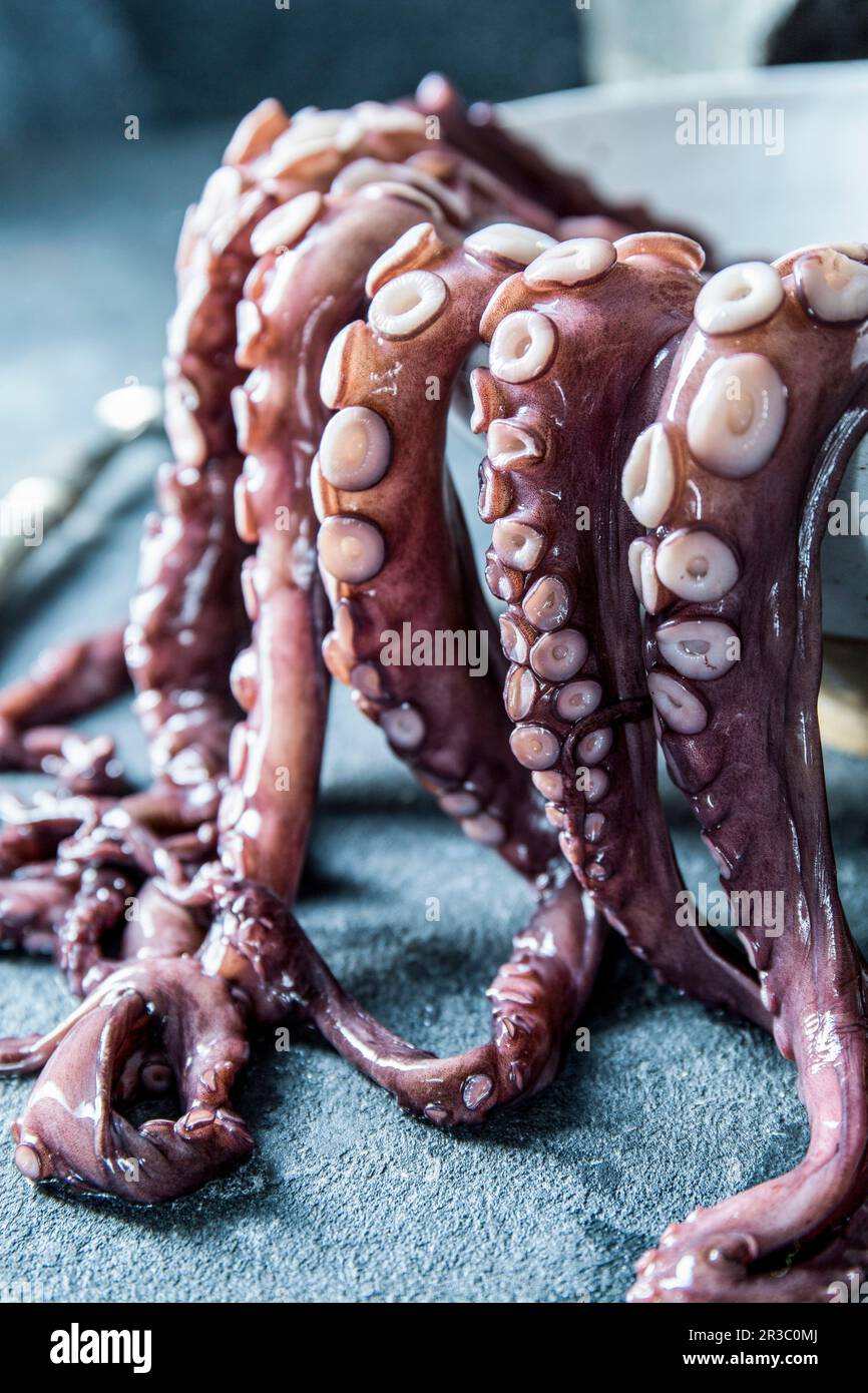 Large fresh octopus legs hanging from the pan Stock Photo - Alamy