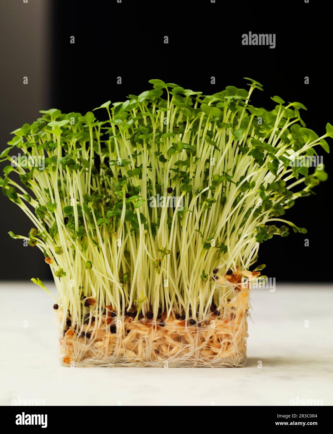 Cress variety hi-res stock photography and images - Alamy