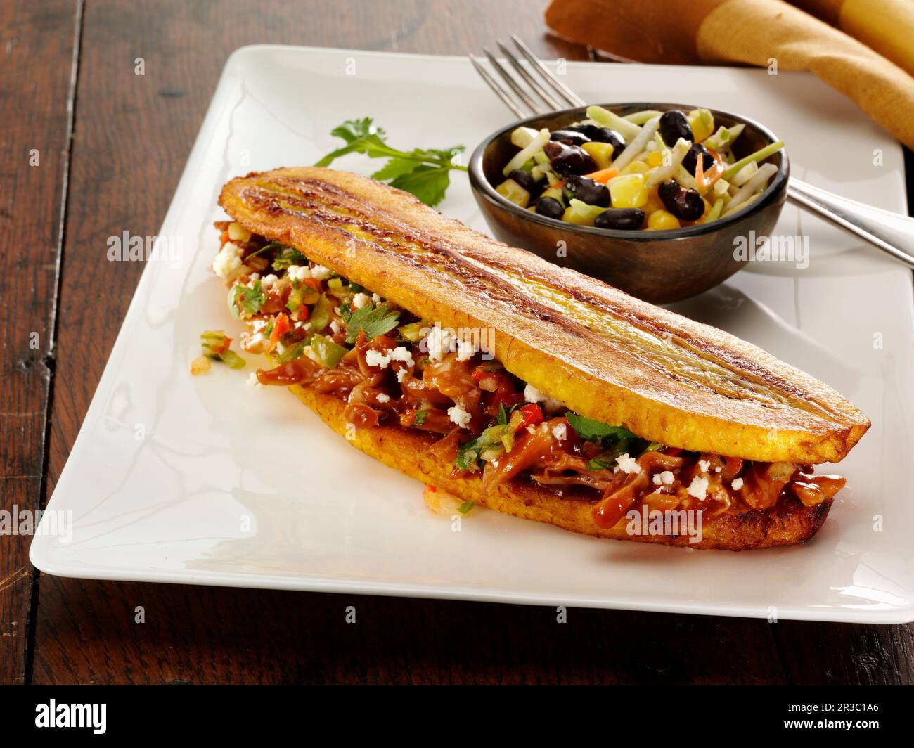 Mexican shredded chicken with Cotija crumbled cheese, cilantro and red ...