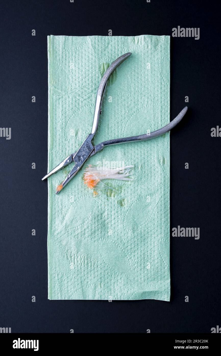 Tongs for deboning with bones on paper towel Stock Photo - Alamy