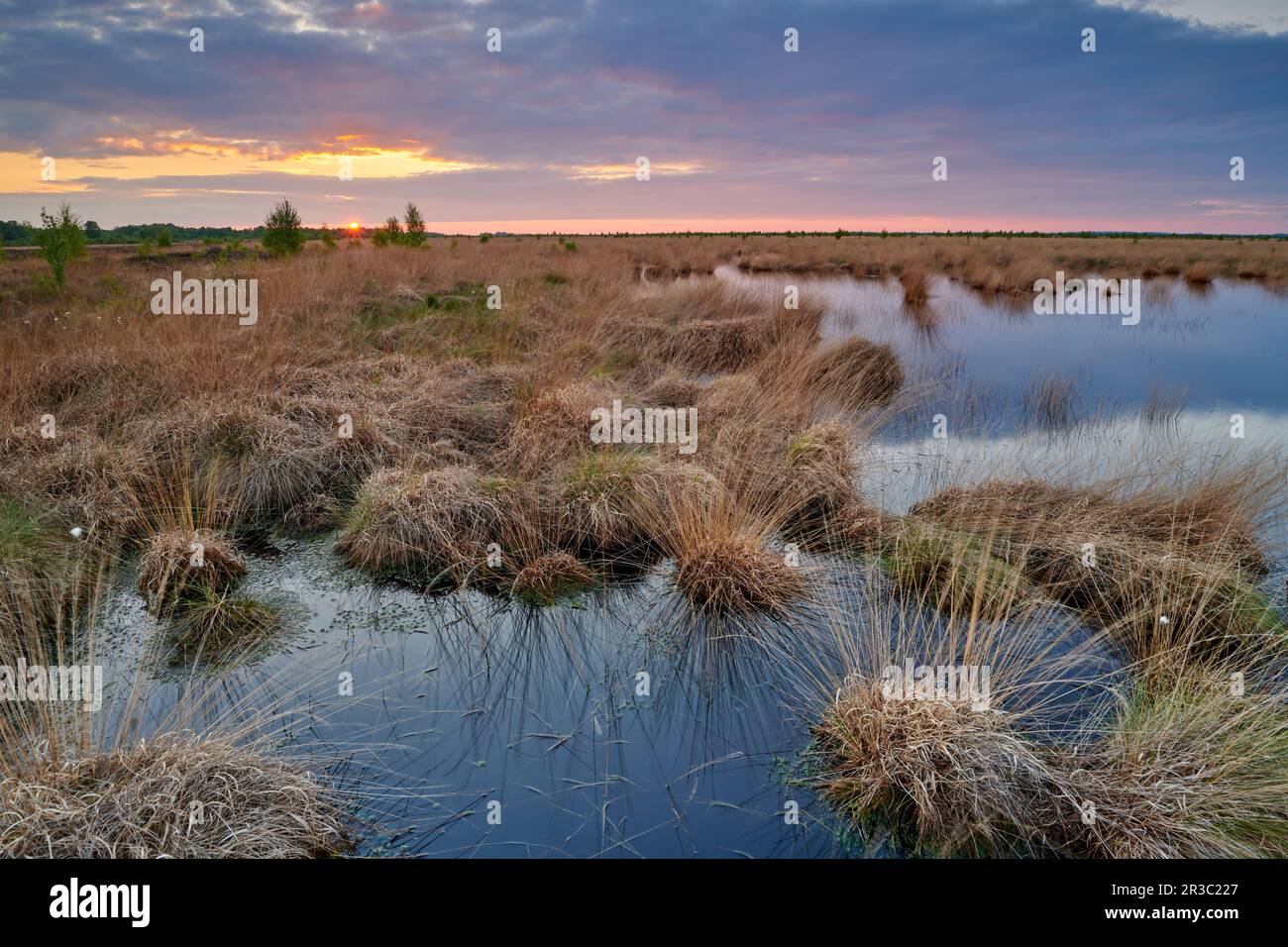 Upland peat hi-res stock photography and images - Alamy