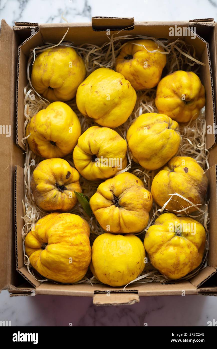 Fresh quinces in a box Stock Photo - Alamy