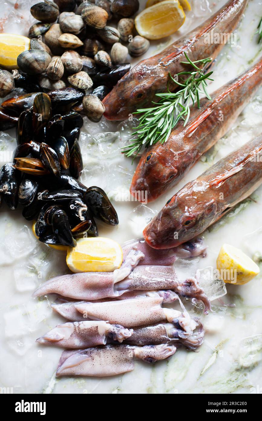 Different mollusks food hi-res stock photography and images - Alamy