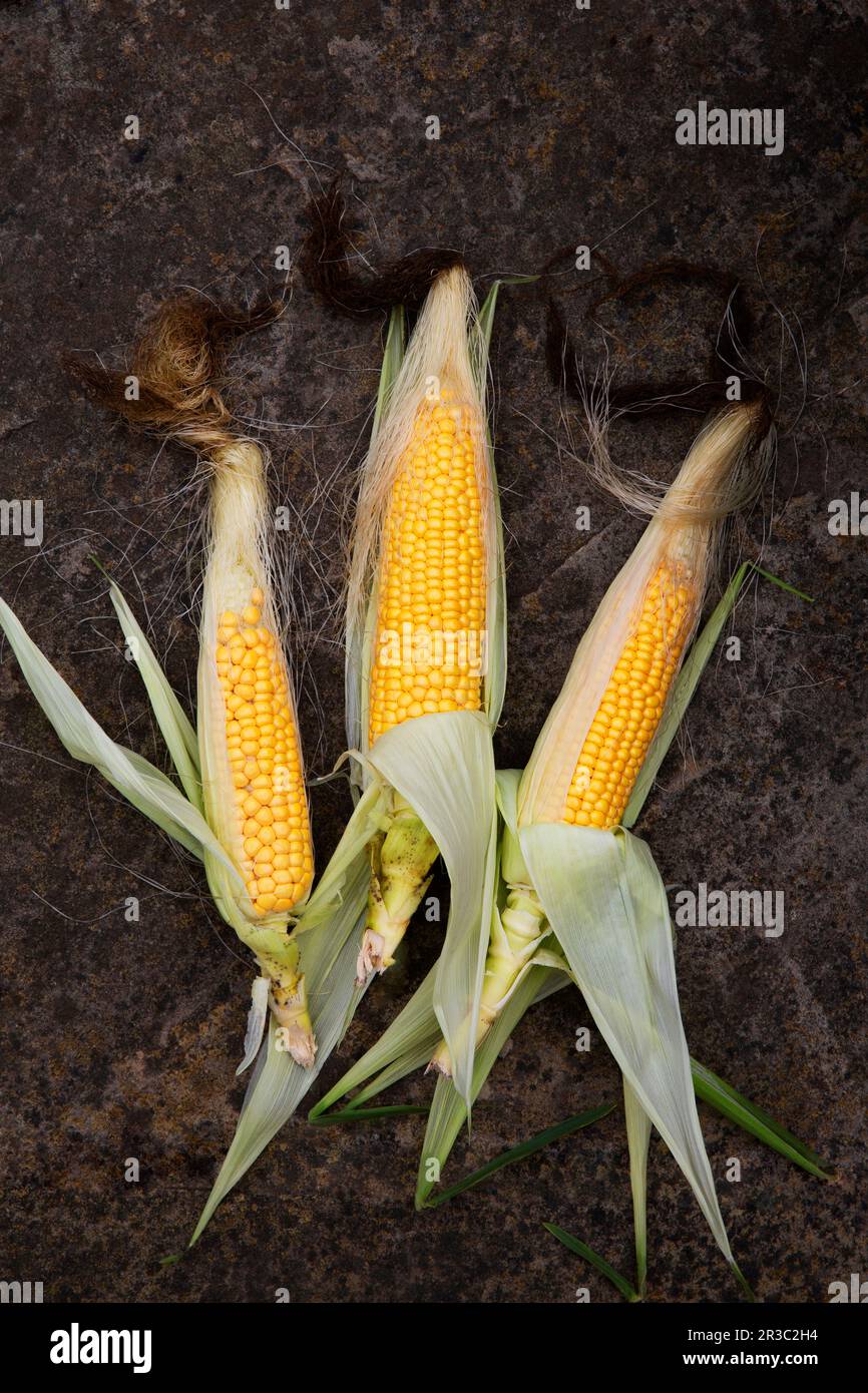 Corn on the cob Stock Photo - Alamy