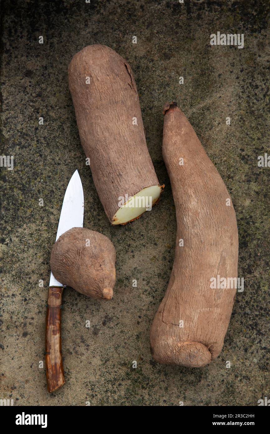 Ground yam hi-res stock photography and images - Alamy