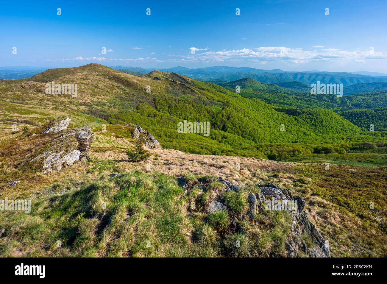 Spring landscape of the Bieszczady Mountains. A view of the Mount ...