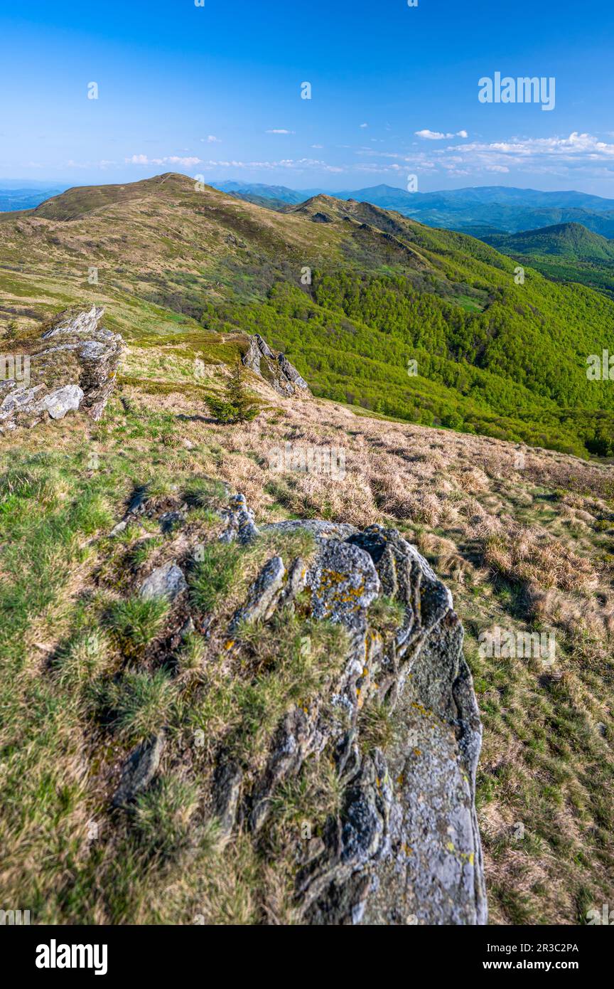 Spring landscape of the Bieszczady Mountains. A view of the Mount ...