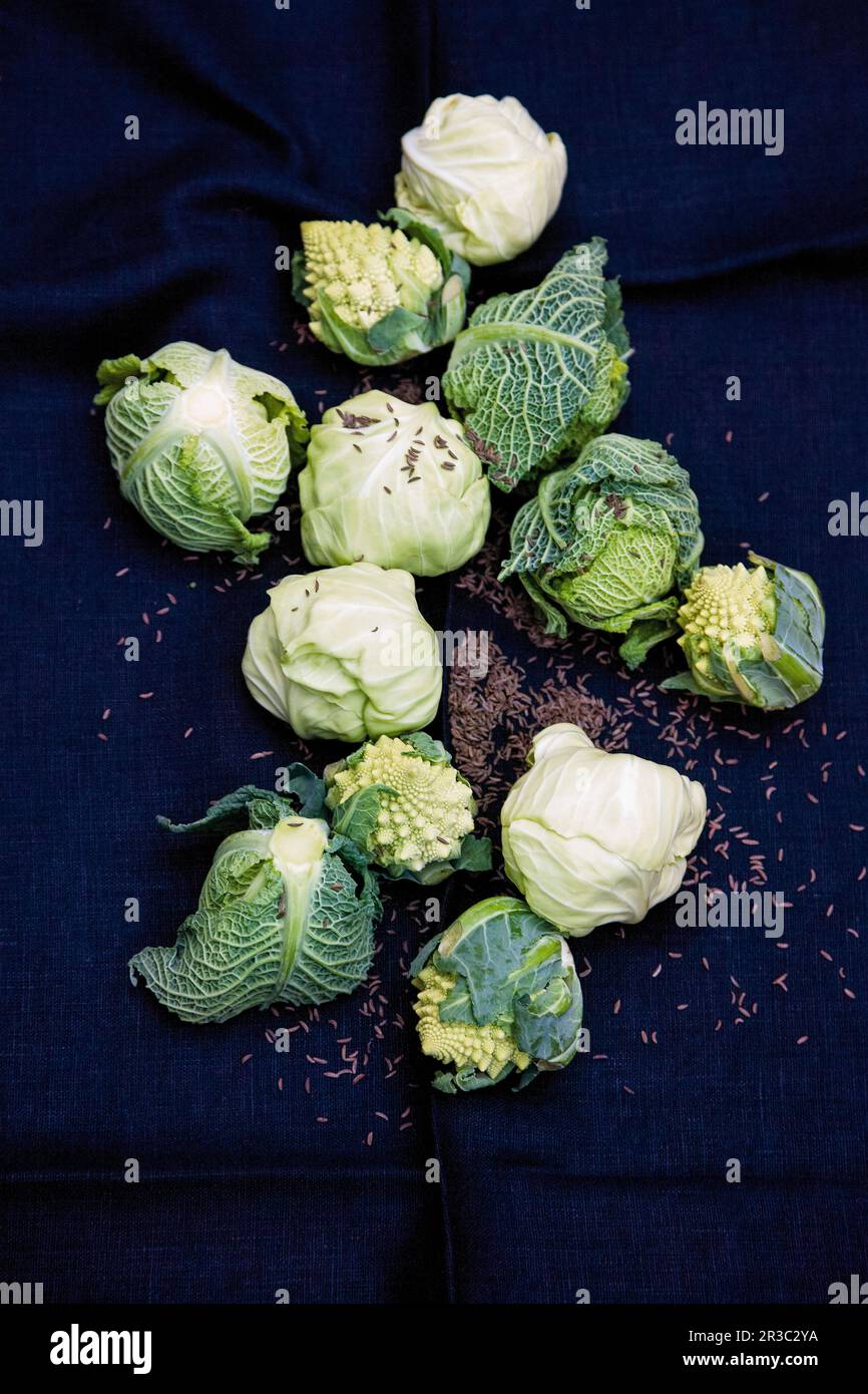 Baby cabbage: Savoy cabbage, romanesco and white cabbage Stock Photo ...