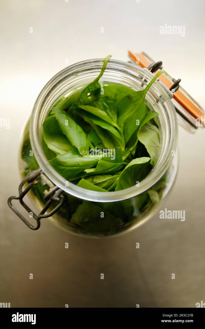 Fresh basil in a glass jar Stock Photo - Alamy