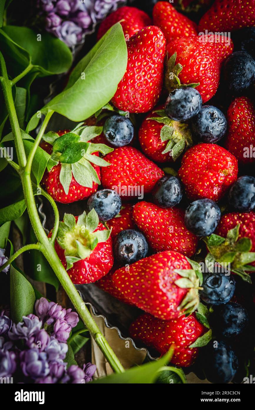 Fresh strawberries and blueberries (full screen Stock Photo - Alamy