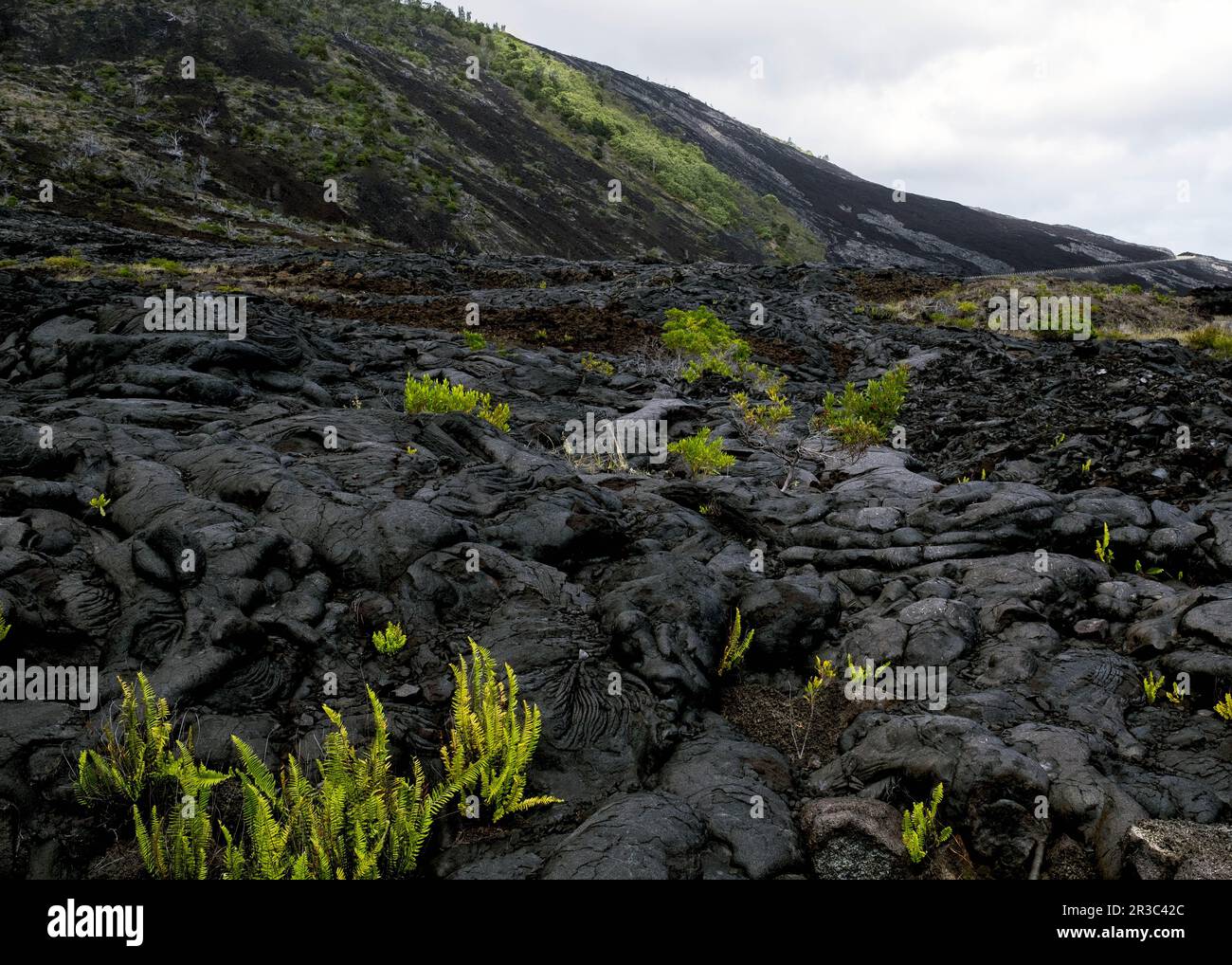 Lava natural disaster hi-res stock photography and images - Alamy