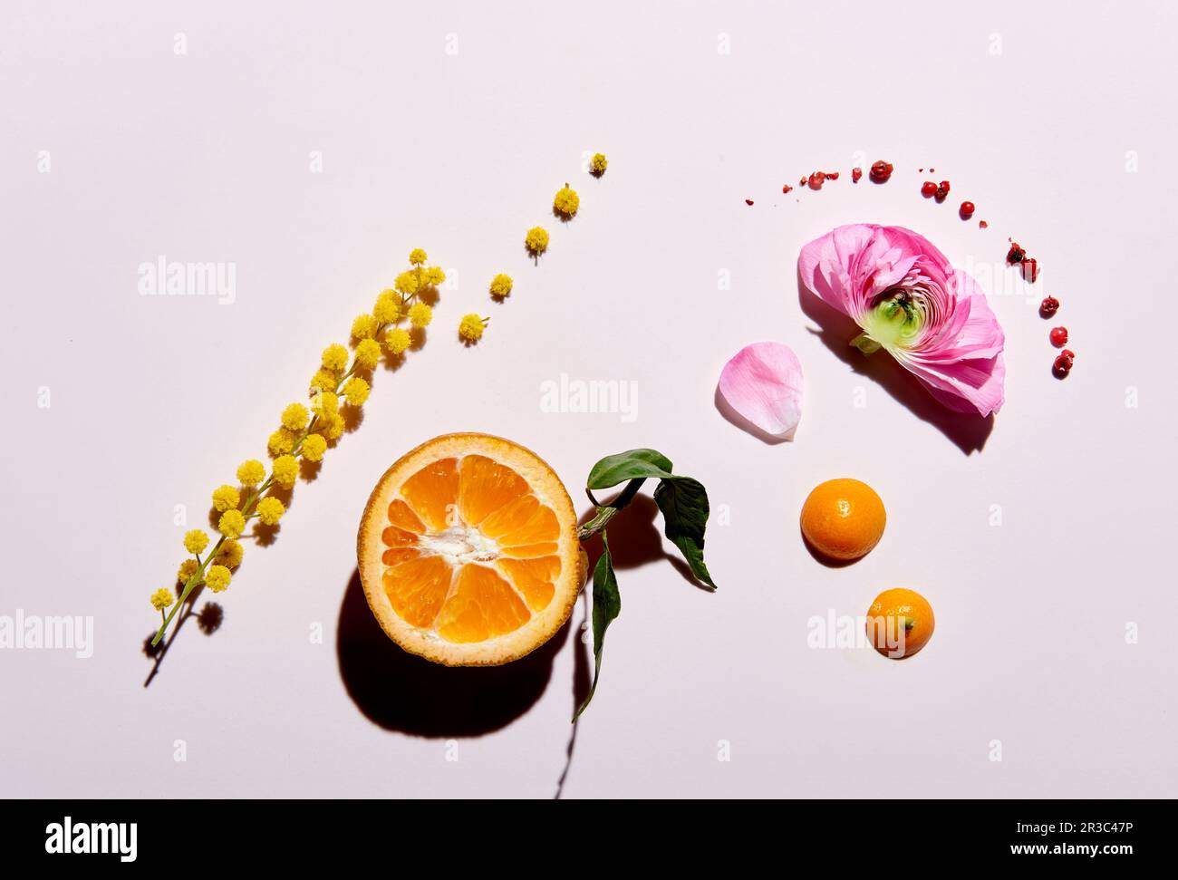 Fragrance notes for perfume (citrus fruits, flowers, pink peppercorns ...