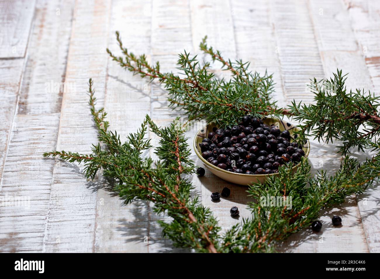 Juniper sprigs hi-res stock photography and images - Alamy