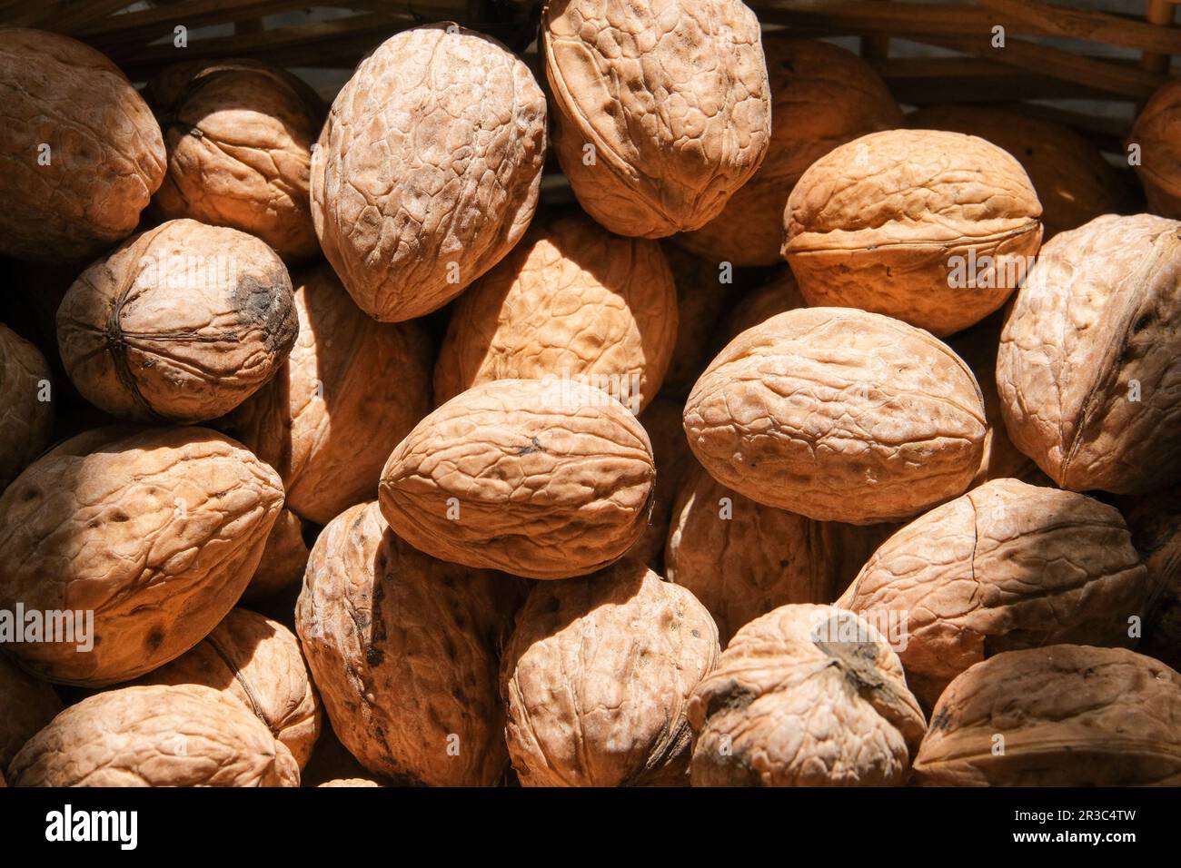 Close up organic whole unopened walnut shells inside wicker basket ...