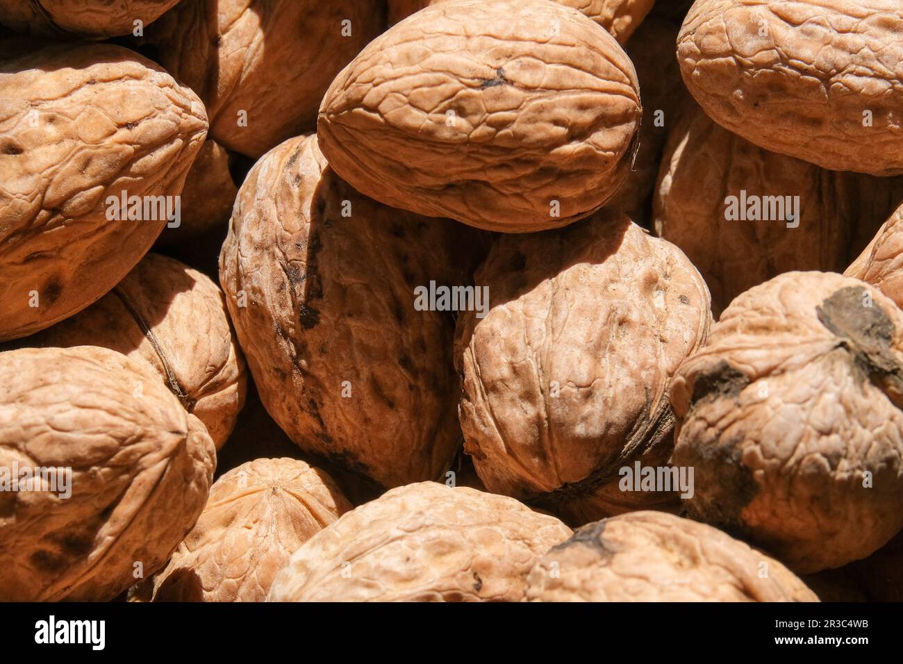 Walnut kernel under shell hi-res stock photography and images - Alamy