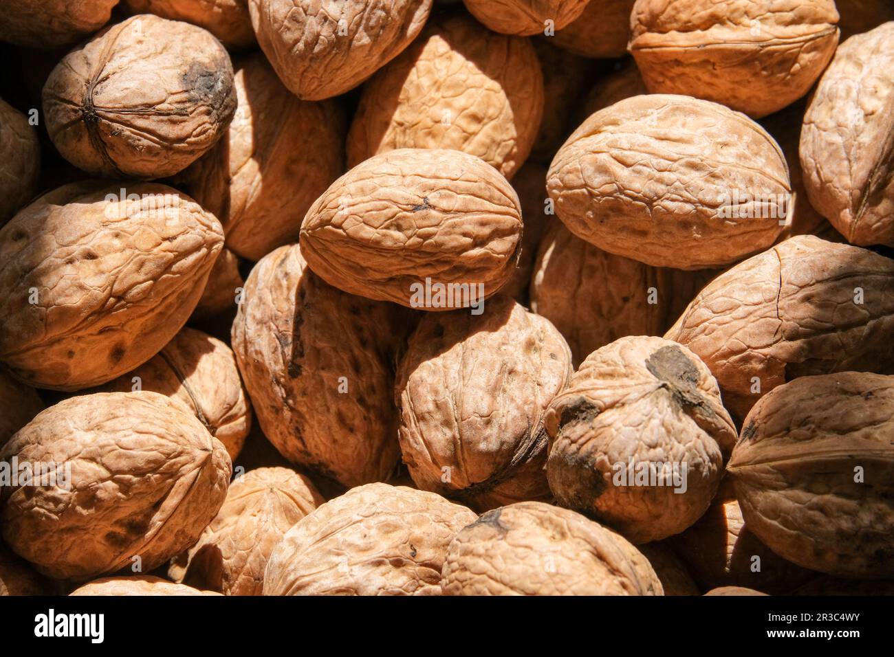 Close up organic whole unopened walnut shells under sun. Unopened ...