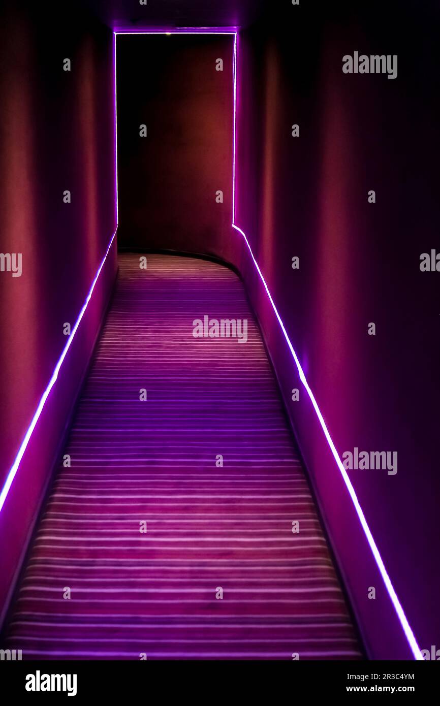 Purple Nightclub Lights