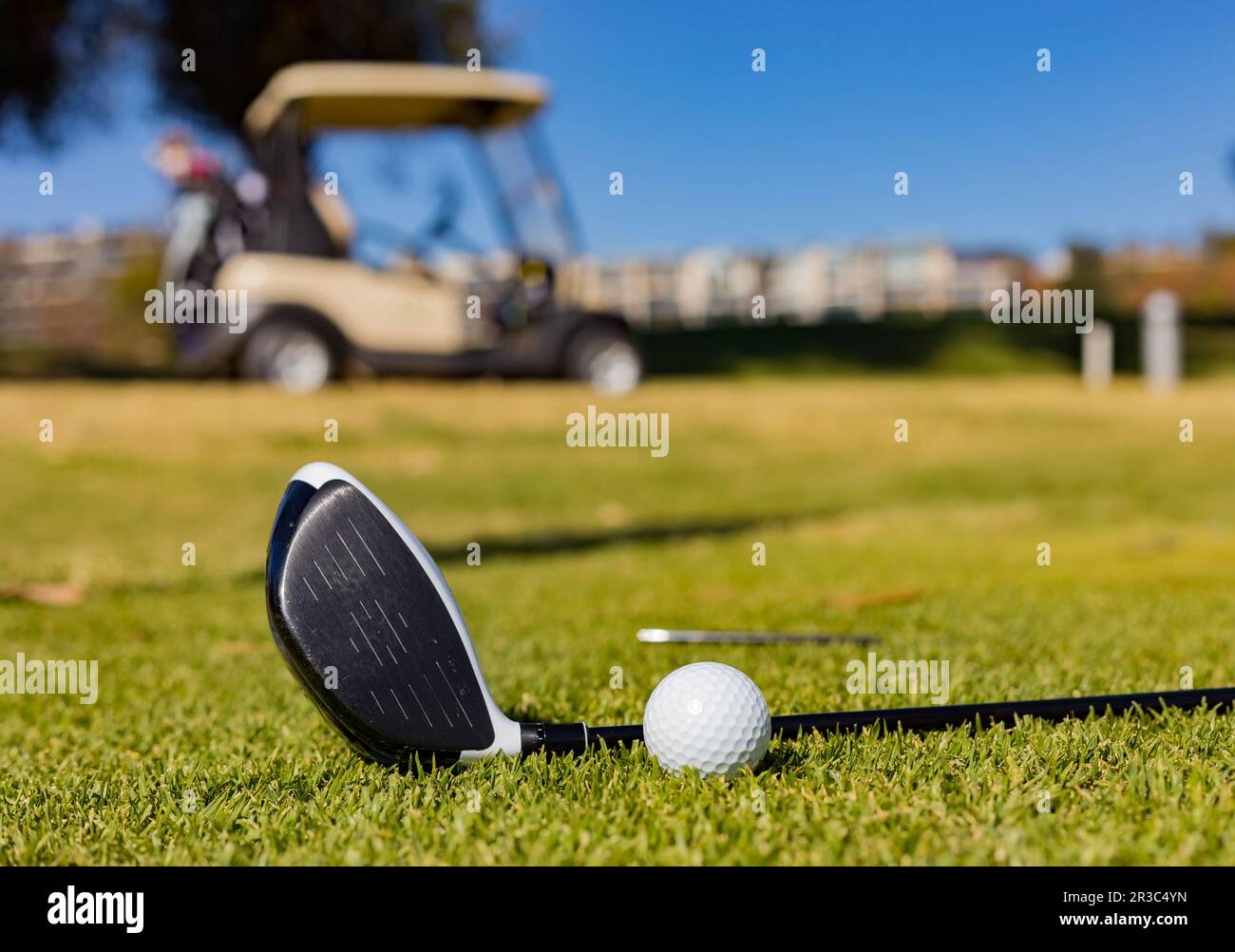 Golf Clubs and Balls on a Golf Course Stock Photo - Alamy