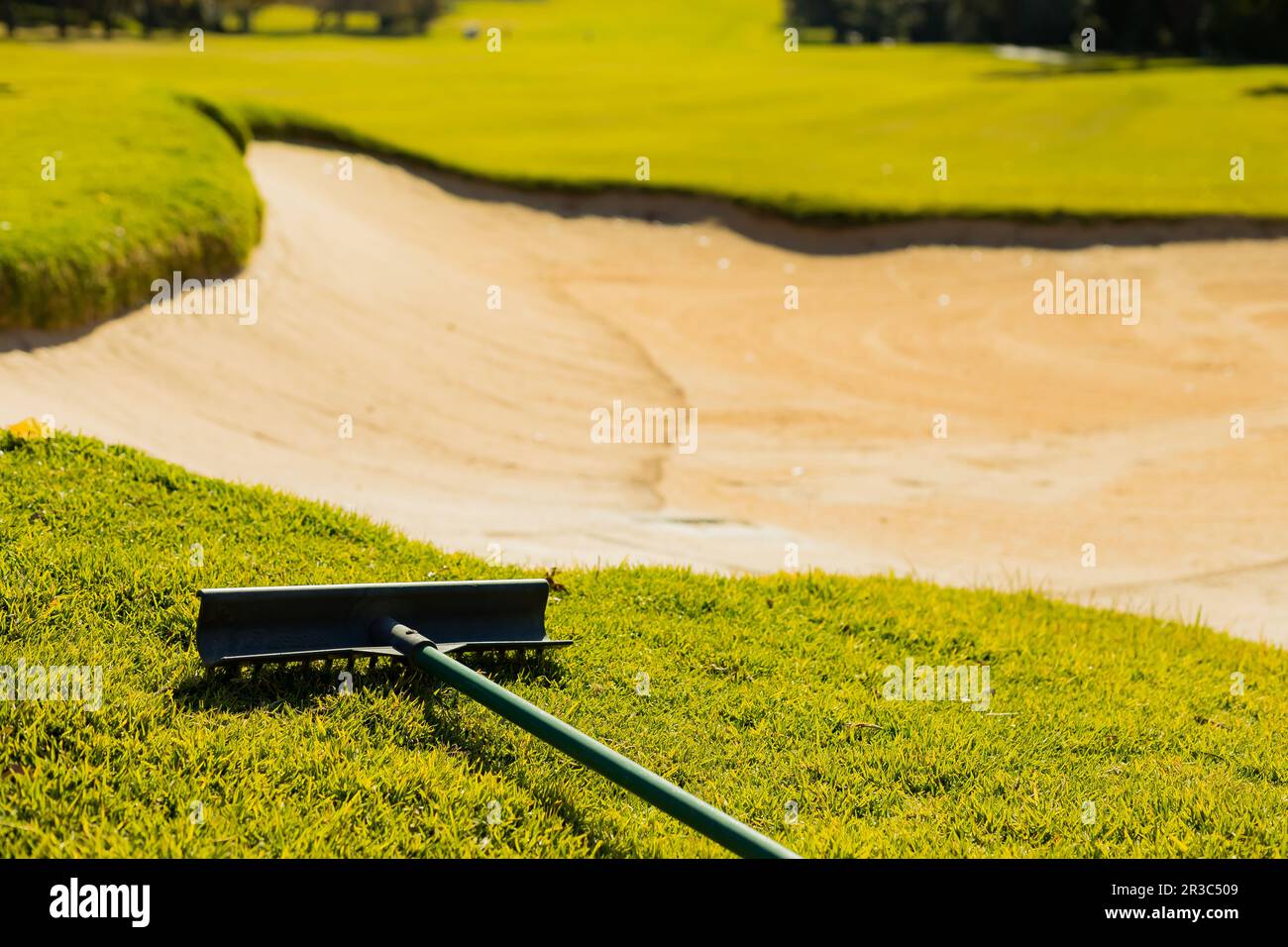 Sand Bunker Hazard and rake on Golf Course Fairway Stock Photo - Alamy