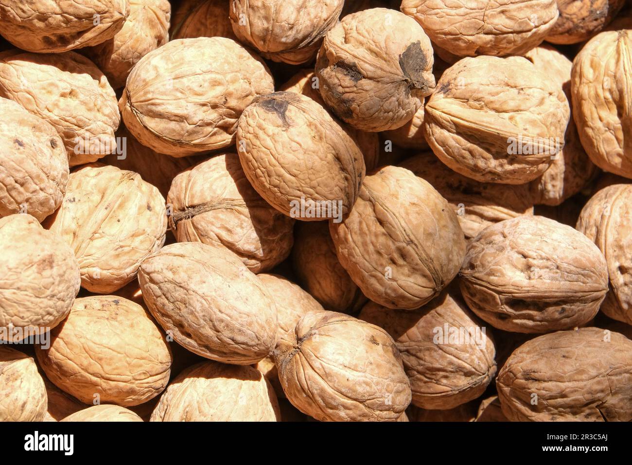 Close up organic whole unopened walnut shells under sun. Unopened ...