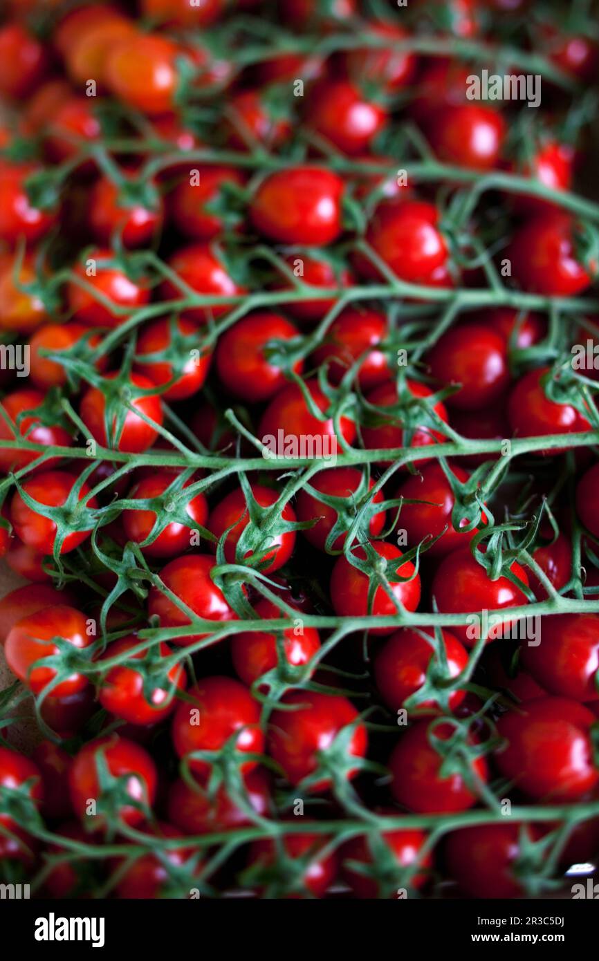 Fresh cocktail tomatoes Stock Photo - Alamy