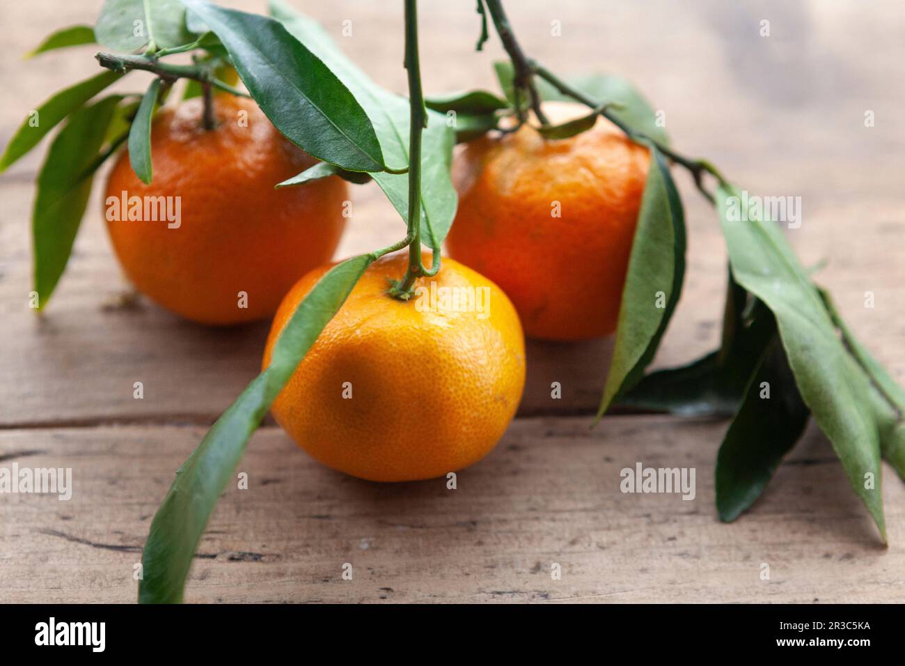 Three mandarin oranges with leaves Stock Photo - Alamy