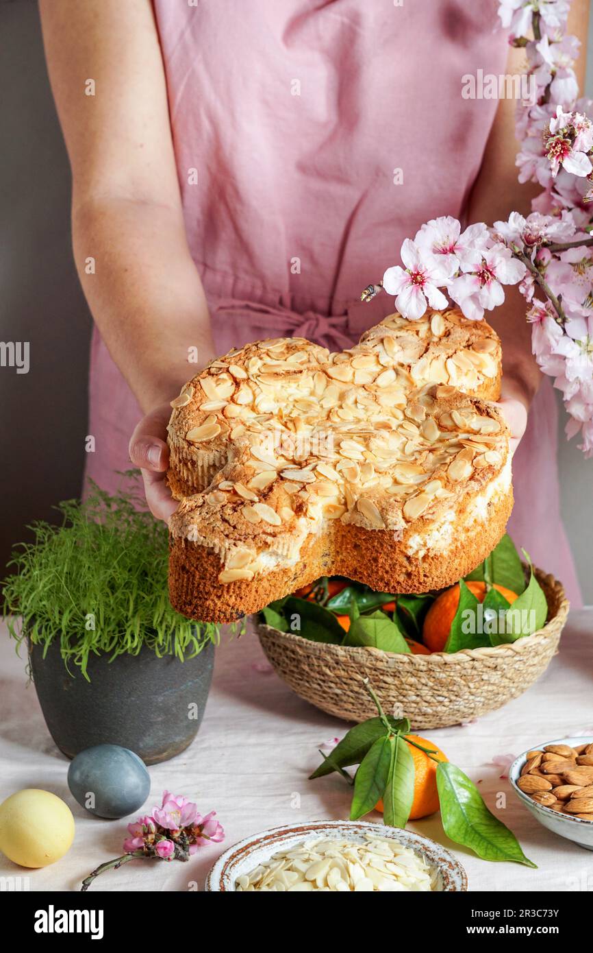 Hands holding Colomba (traditional Italian Easter cake with almonds ...