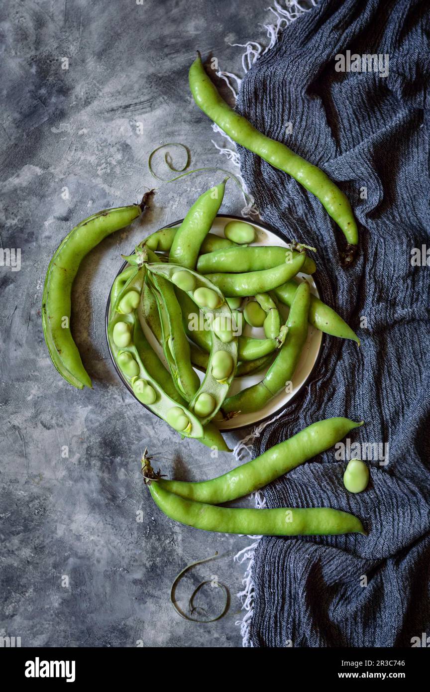 Fava broad beans Stock Photo - Alamy