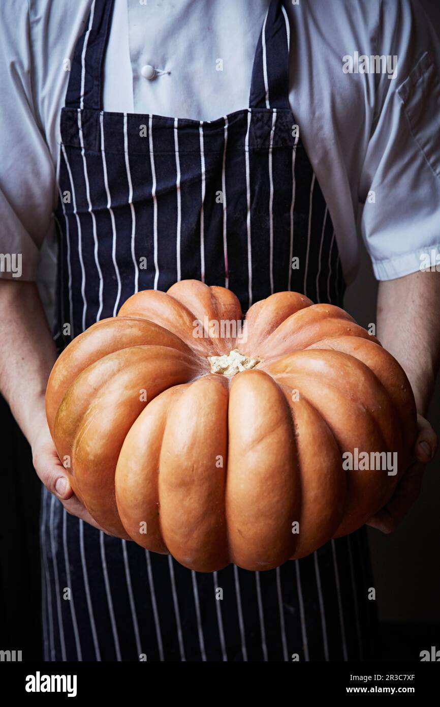 Large pumpkin held by a chef Stock Photo - Alamy