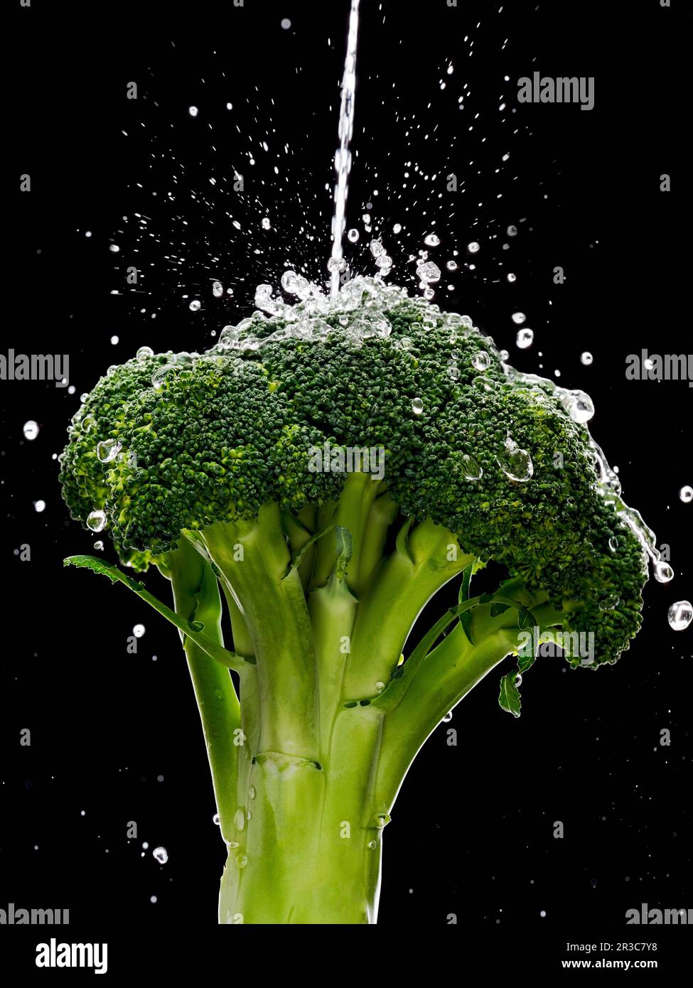 Broccoli being rinsed in water Stock Photo - Alamy