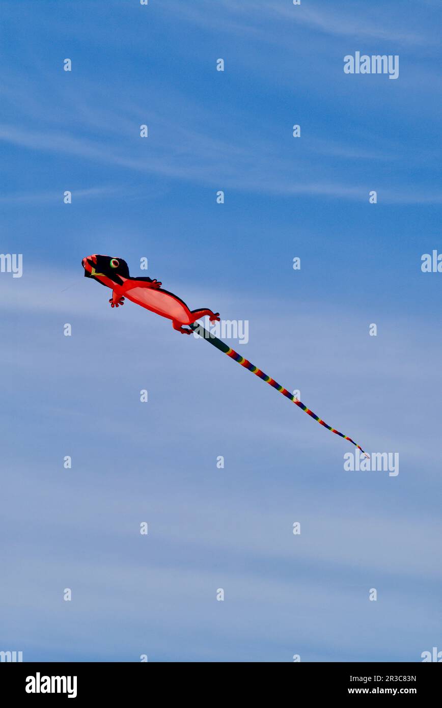 Kite flying in the wind Stock Photo - Alamy